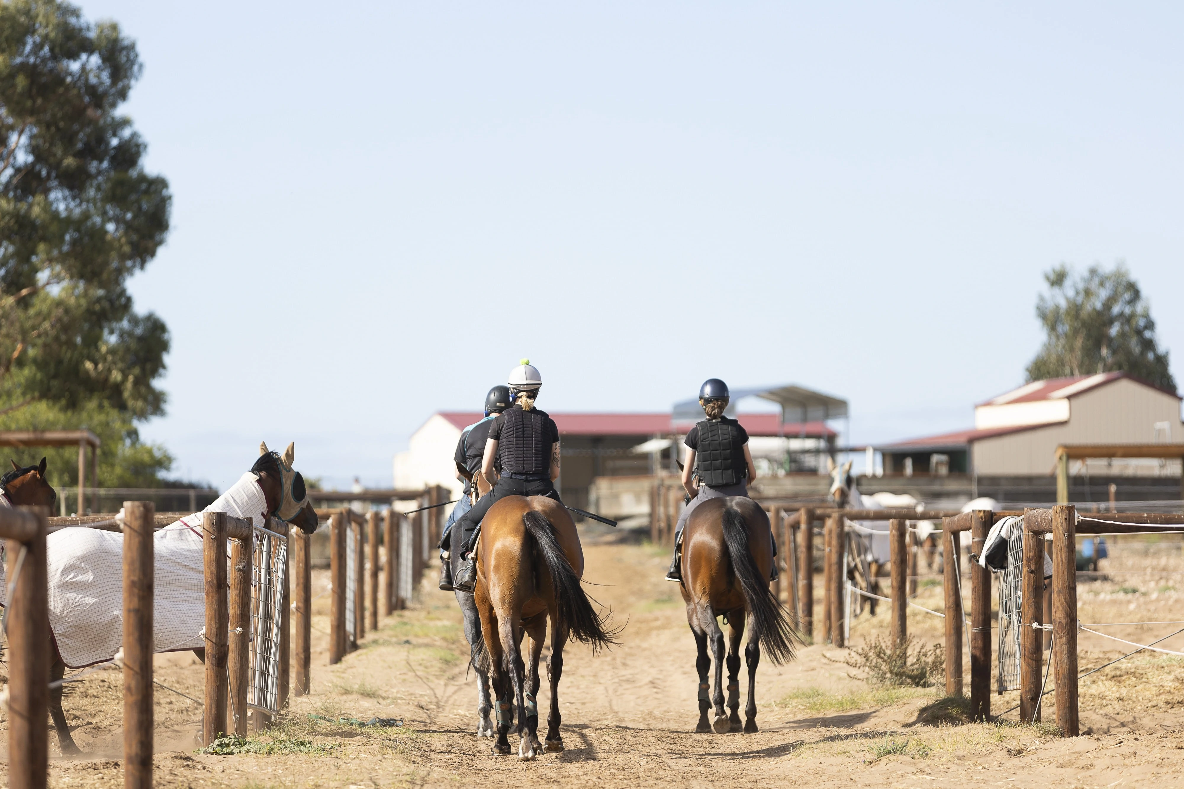 Home - Hardacre Training